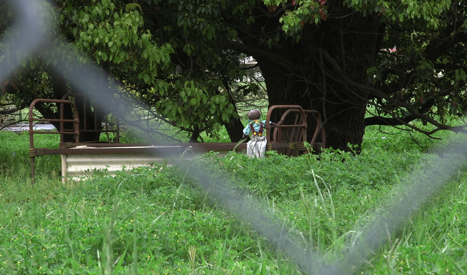 Blacktown Native Institution Site | Dharug Country X City: Always was ...